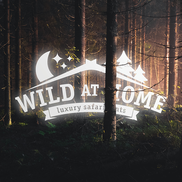 Doublegum project: Wild at Home